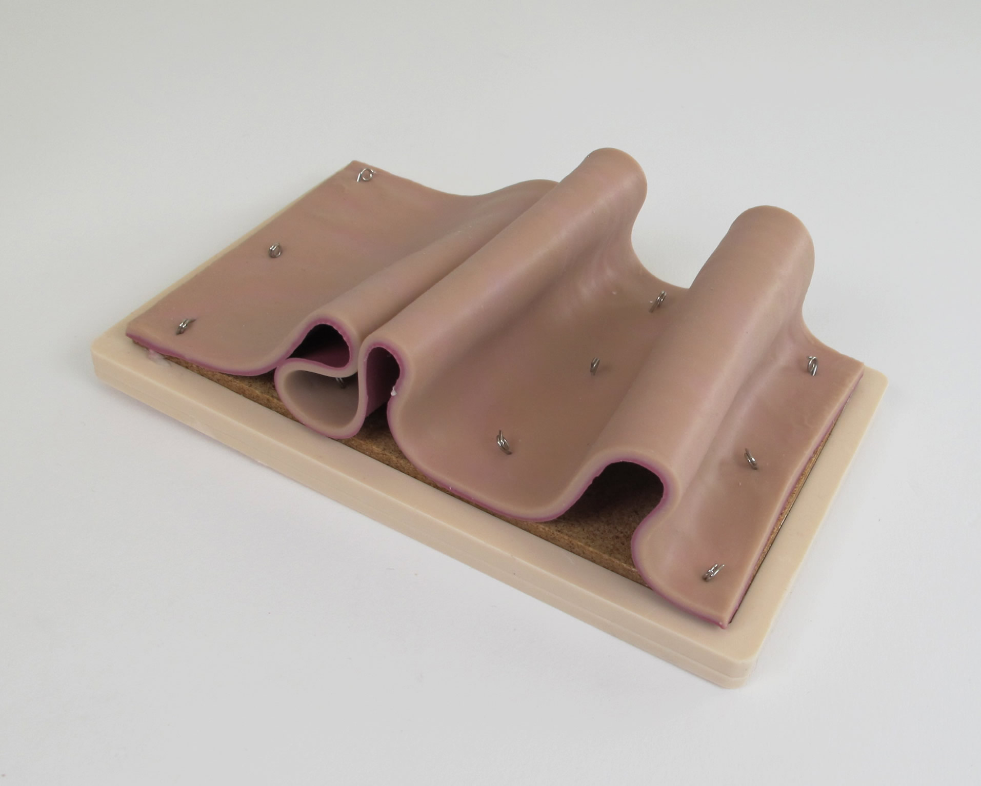 Laparoscopic Training Kit C Sini Medical Simulation