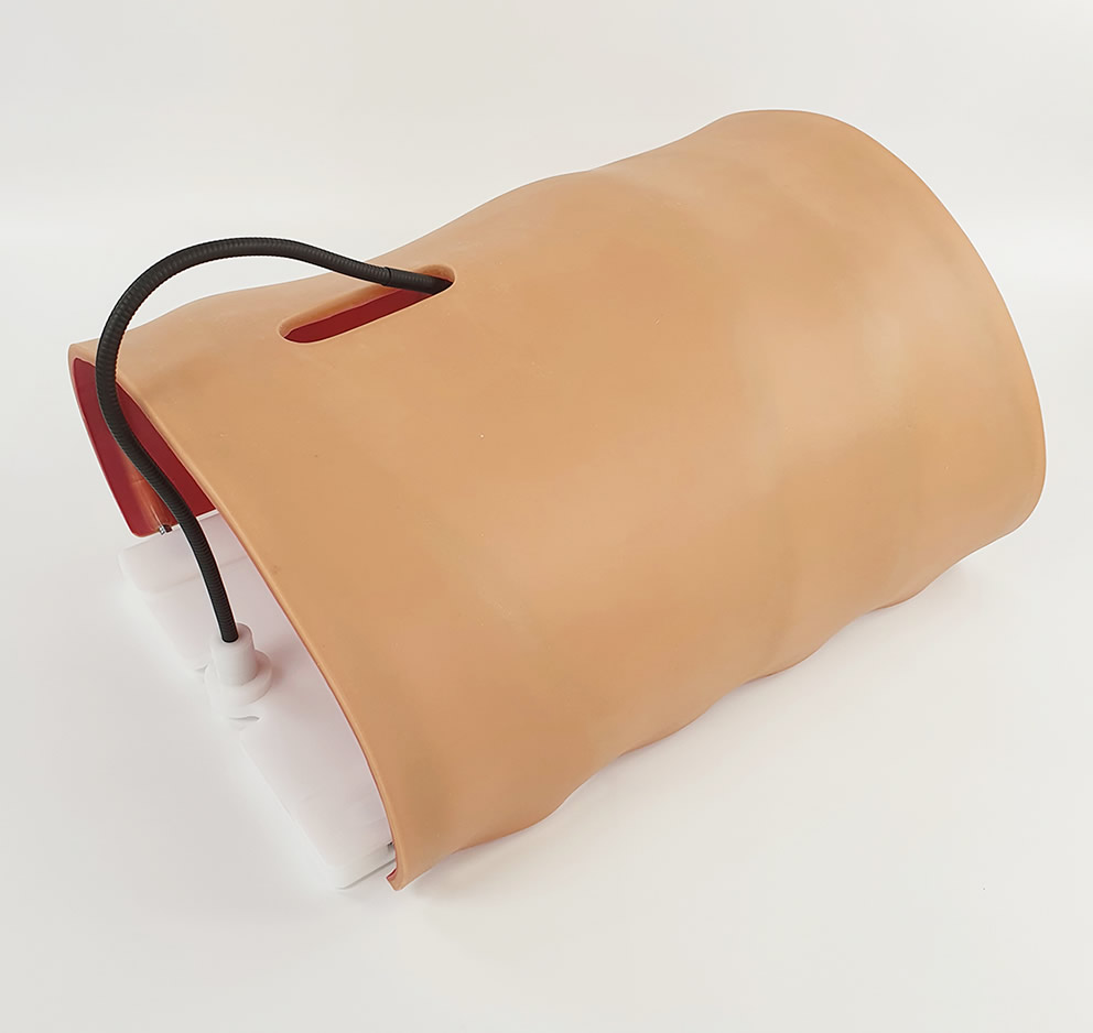 Laparoscopic Body Type Trainer Large - SINI Medical Simulation