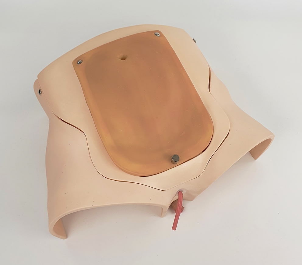 Prostatectomy Trainer - SINI Medical Simulation