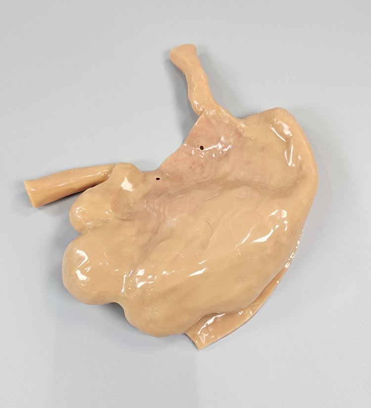 SINI We simulate reality - SINI Medical Simulation